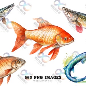 Freshwater Fish Clipart Bundle, Sublimation Print, Graphics Bundle ...