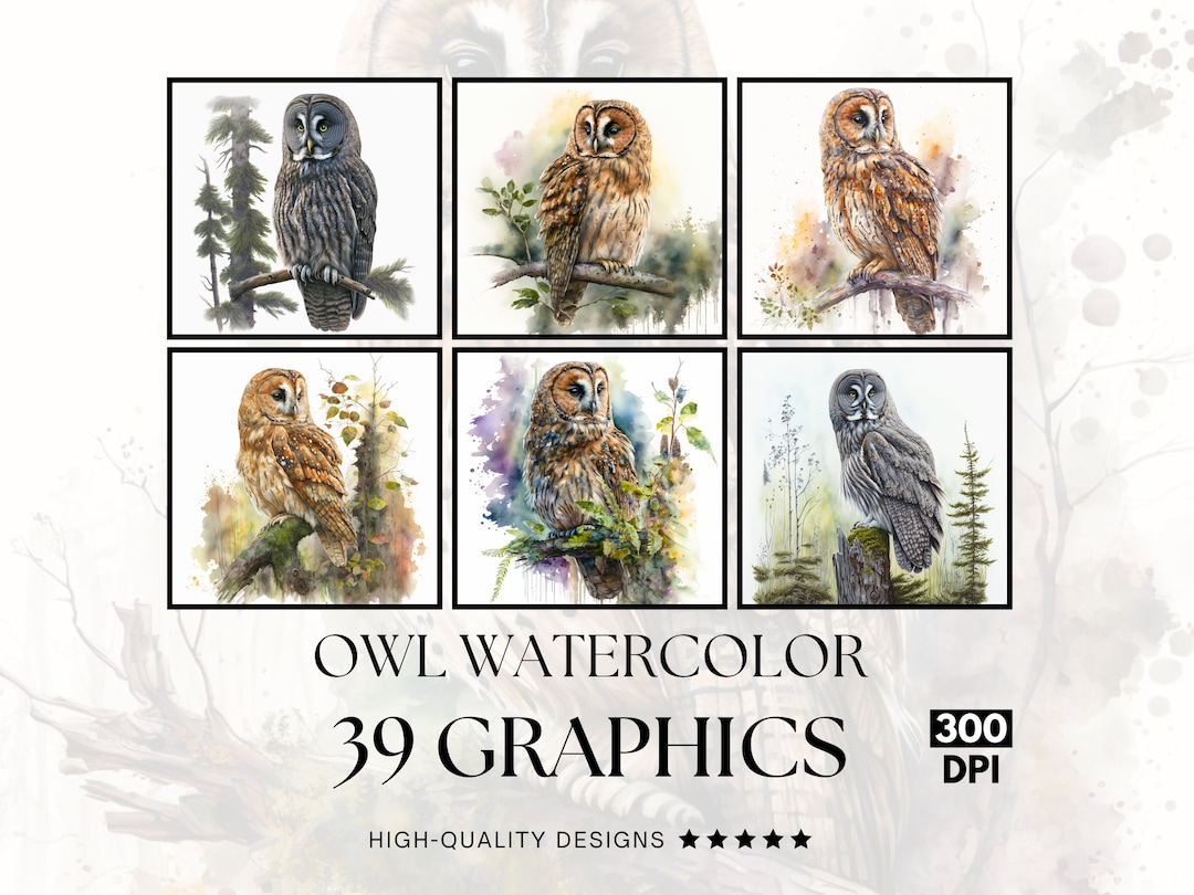 Owl Watercolor Designs PNG Clipart Bundle, Sublimation Print, Graphics ...