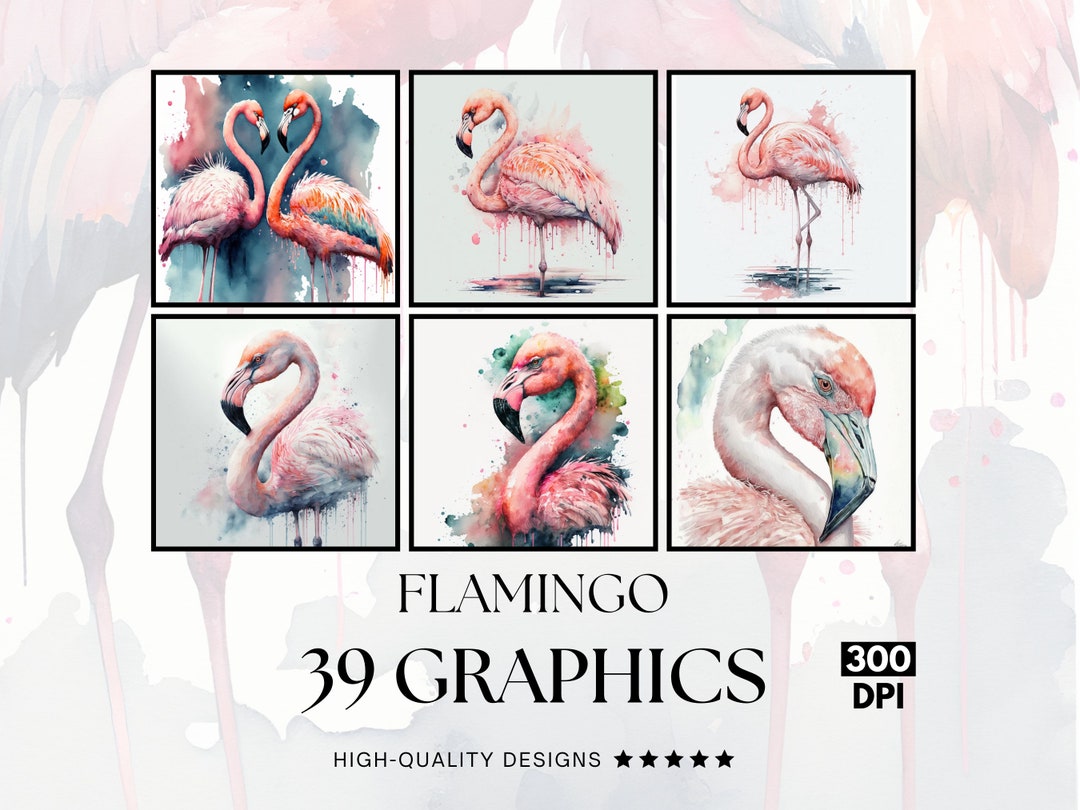 39 FLAMINGO WATERCOLOR PNG Clipart Bundle, Sublimation Print, Graphics ...