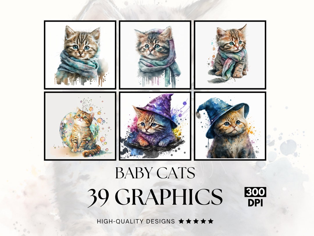 39 BABY CATS Designs PNG Clipart Bundle, Sublimation Print, Graphics ...