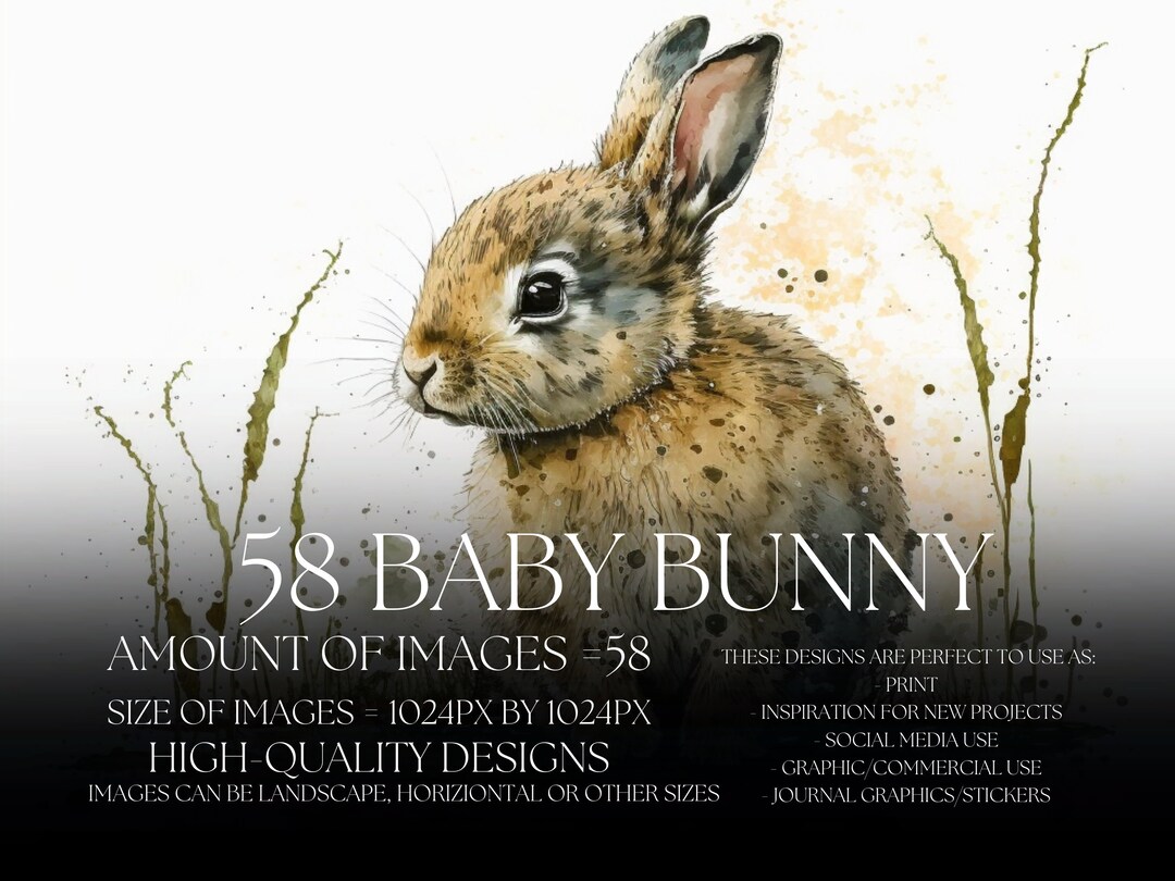 58 Baby Bunny PNG Clipart Bundle Sublimation Print Graphics - Etsy