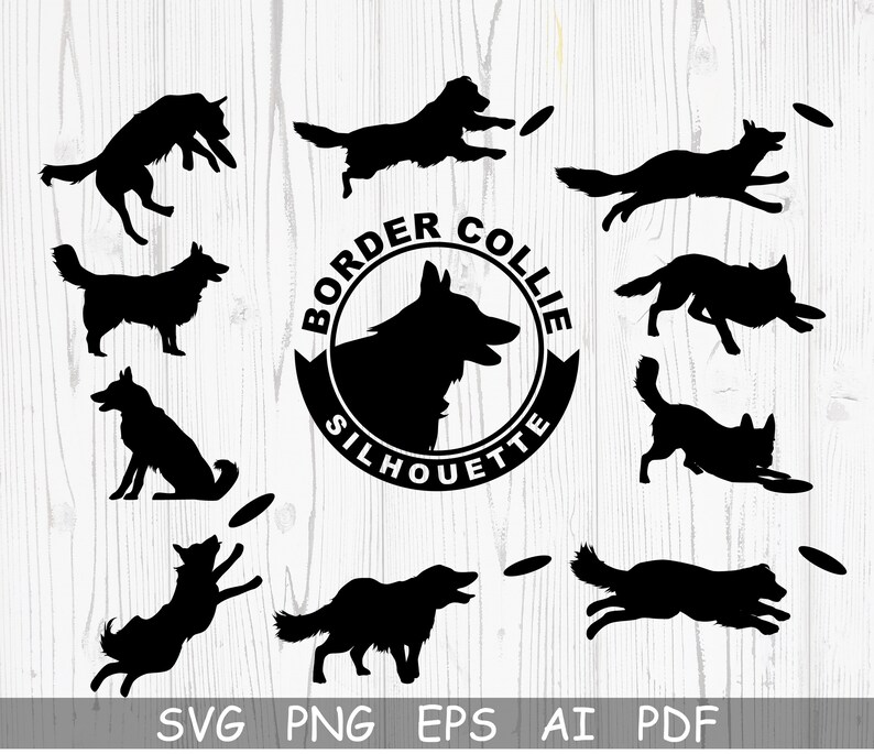 Border Collie Svg Border Colly Silhouette Cliart Border - Etsy
