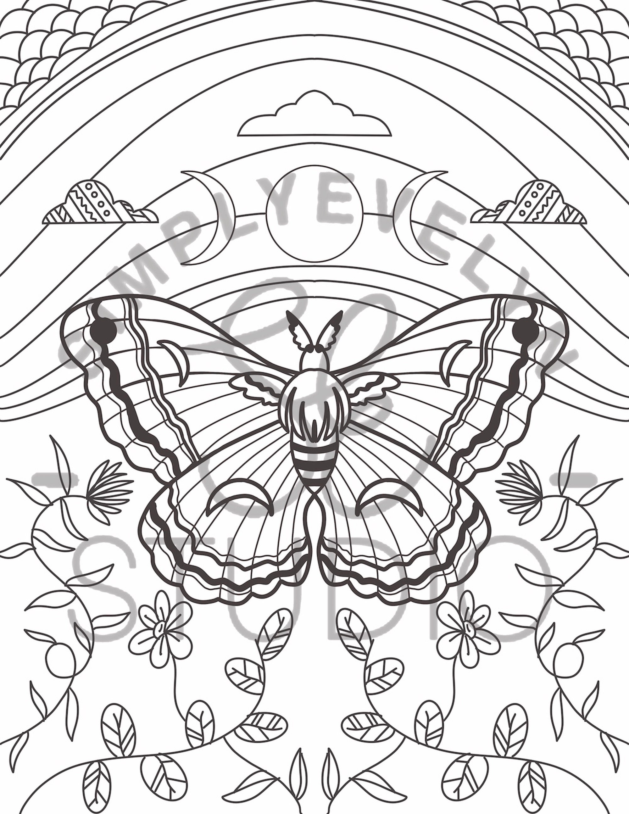 Moth Coloring Pages for Adults, Nature Digital Coloring, Easy to Color ...