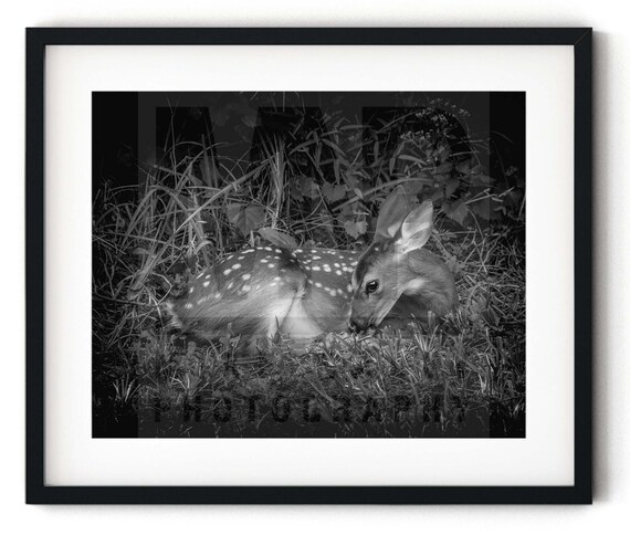 Fawn Print Printable Animal Wall Art Baby Animal Prints for - Etsy