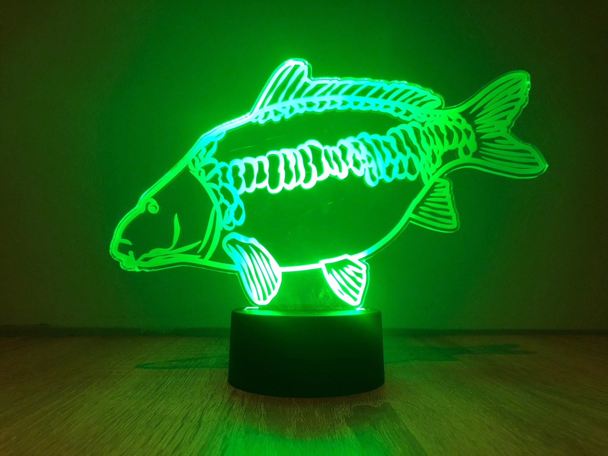 Carp LED Lamp With Remote Control. RGB, Batteries, Carp Fishing ...