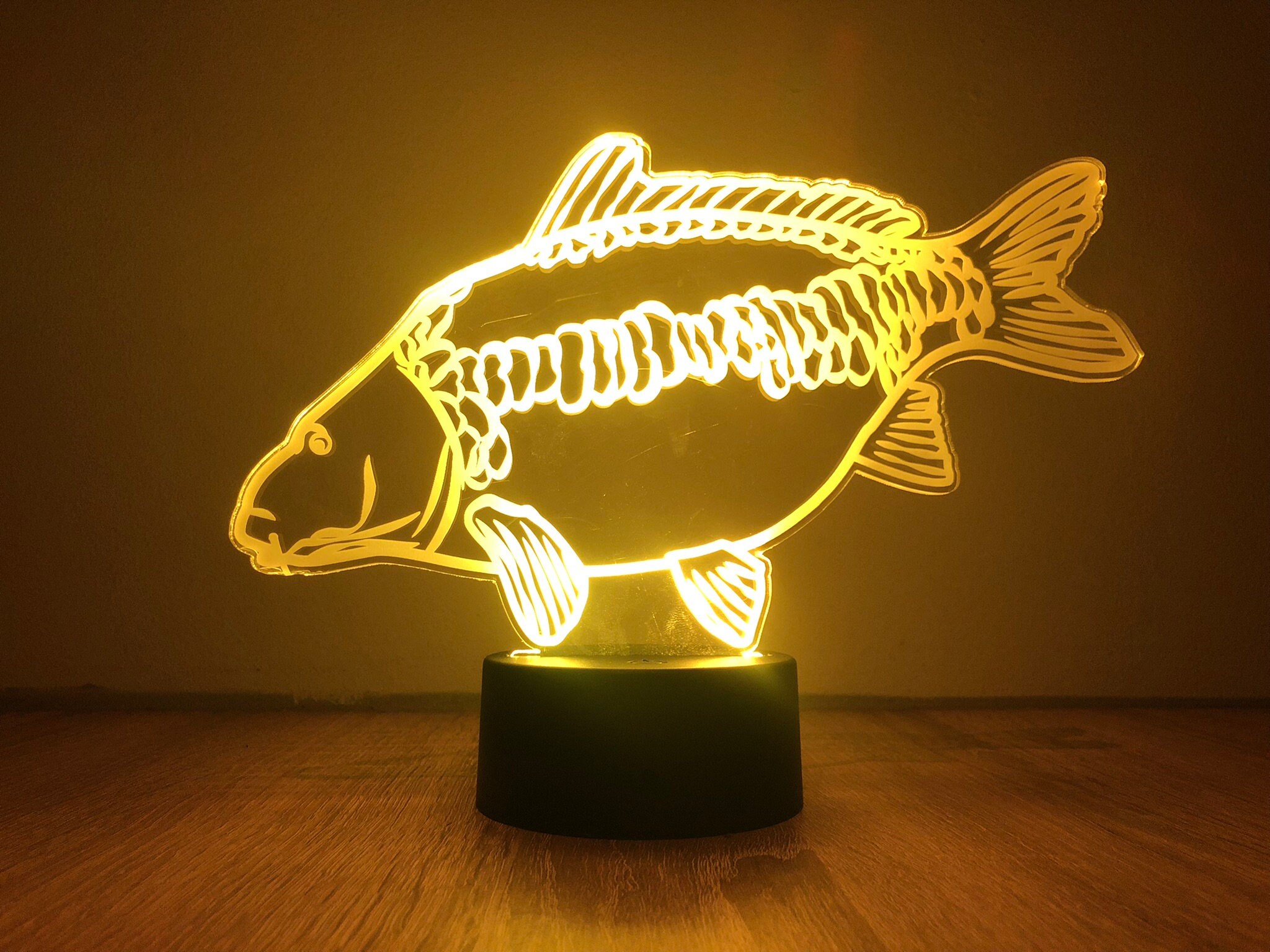 Carp LED Lamp With Remote Control. RGB, Batteries, Carp Fishing ...