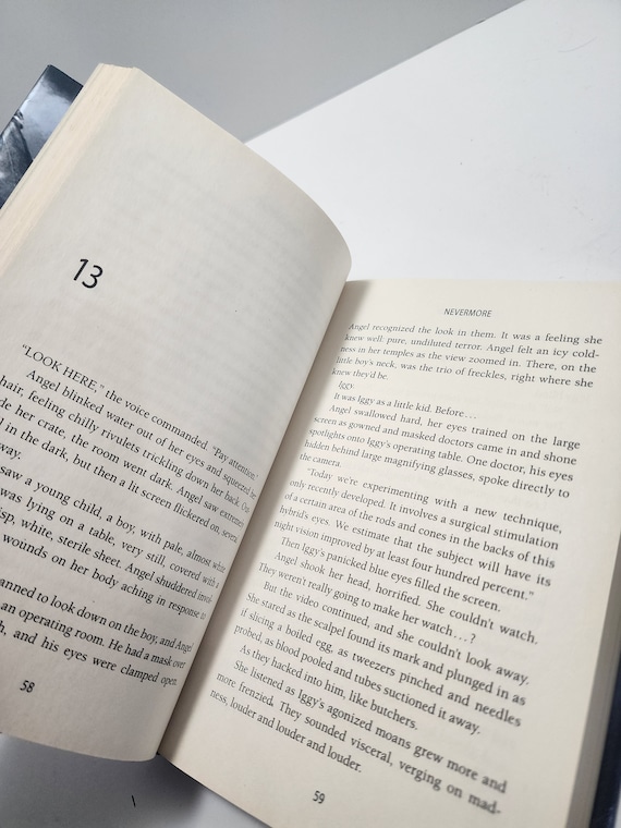 Nevermore Maximum Ride