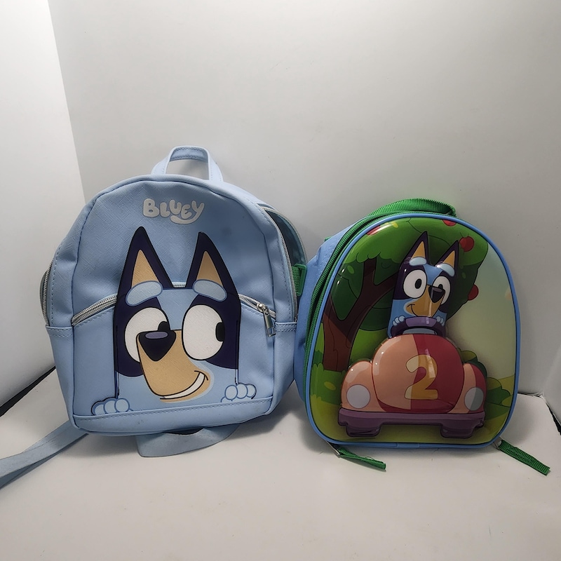 Bluey Lunch Boxes - Etsy