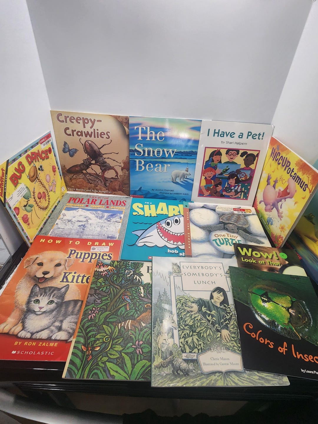 Animal Children's Books LOT - Animals - Animal Books - Scholastic ...