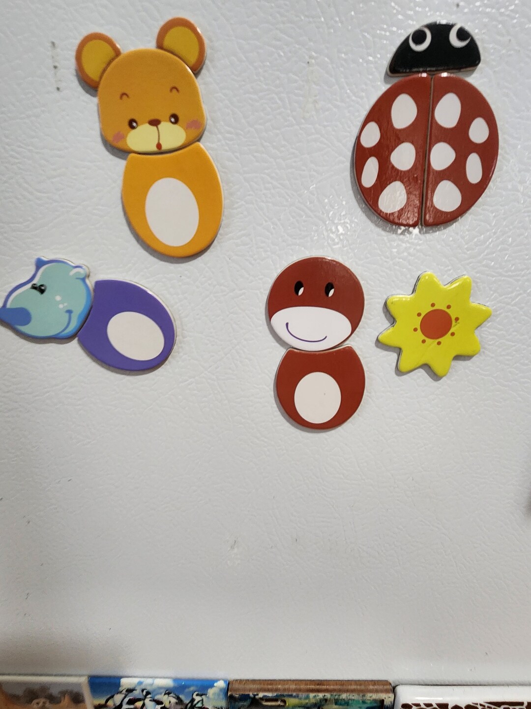Refrigerator Magnet Puzzles - Animals - Kids Toys - Magnets - Kitchen ...