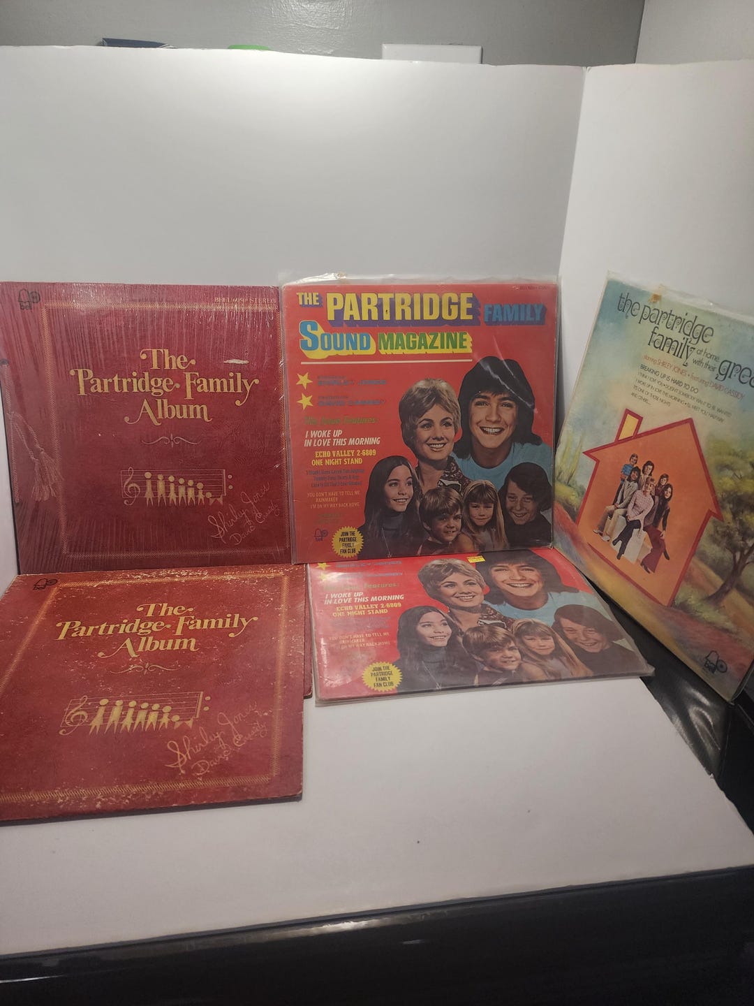 The Partridge Family Vintage 1980's Vinyl LP Records LOTS - Records ...
