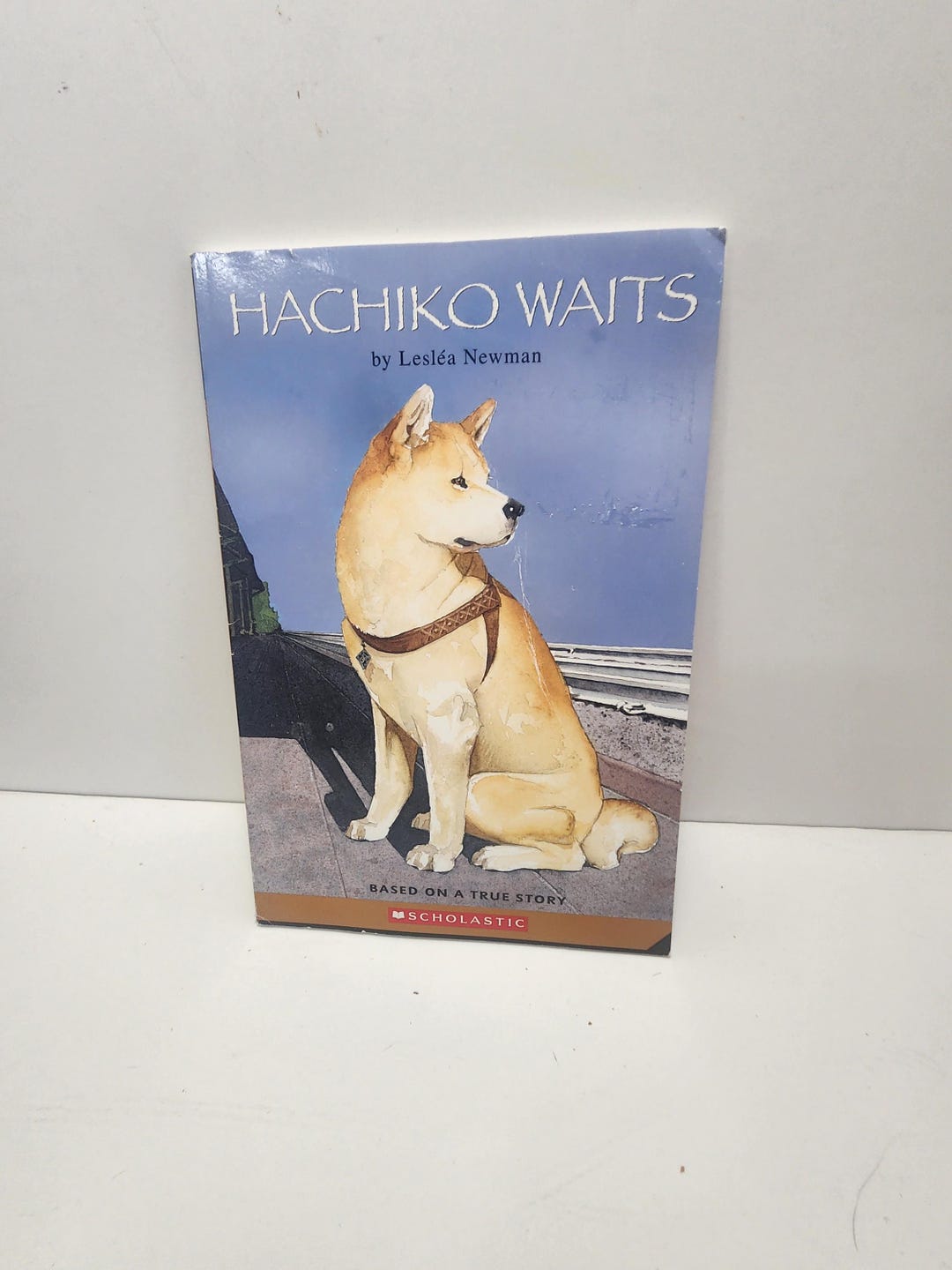 Hachiko Waits by Lesléa Newman - Hachiko - Dogs - Dog Books - Children ...