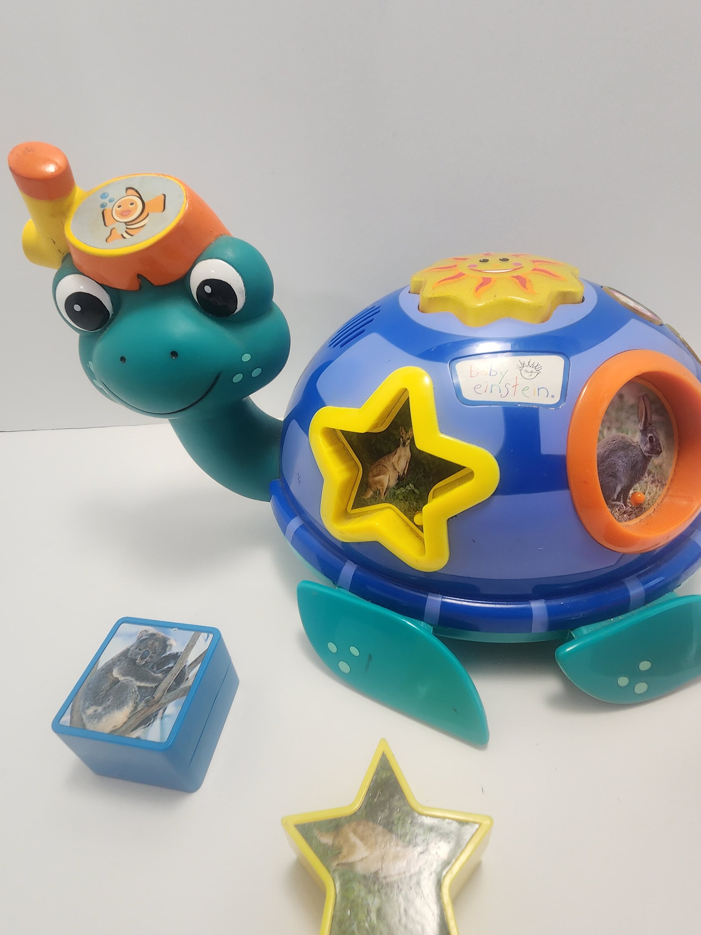 Baby Einstein Shapes and Sounds Playset Turtle Baby Einstein - Etsy