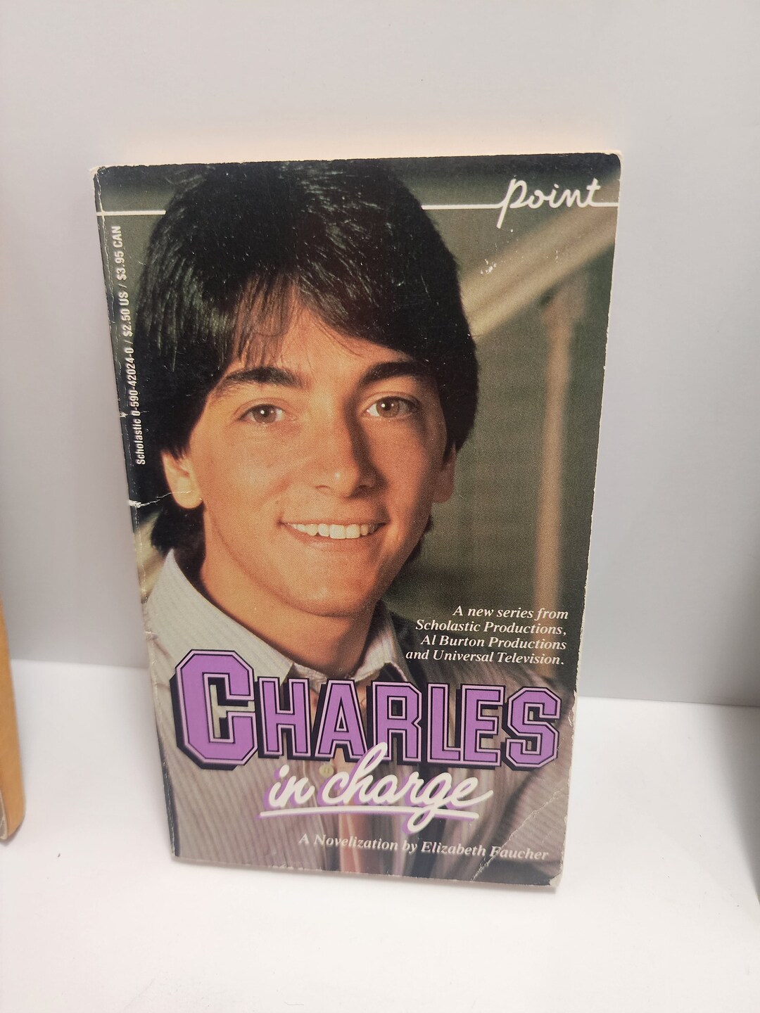 Charles in Charge CBS Show Book by Elizabeth Faucher - Books ...