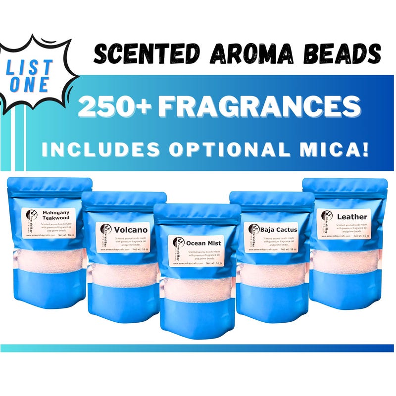 Pumpkin Car Scent Freshies - Etsy