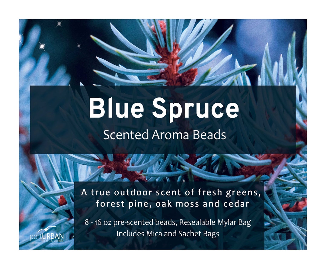 Scented Aroma Beads for Making Freshies or Use in Car, Home, Gym Bag ...