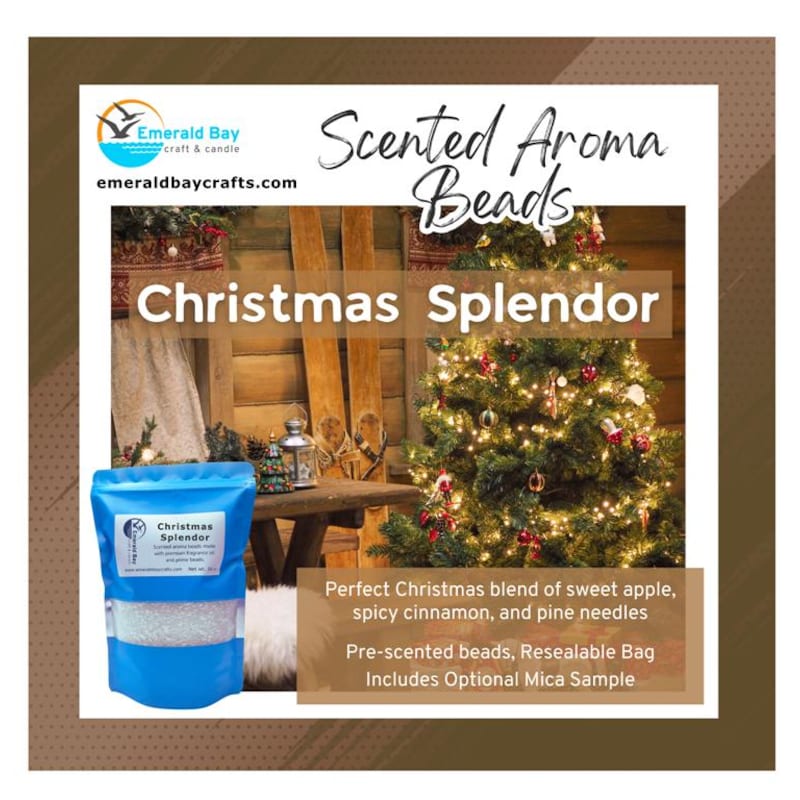 Christmas Splendor Bag - Etsy