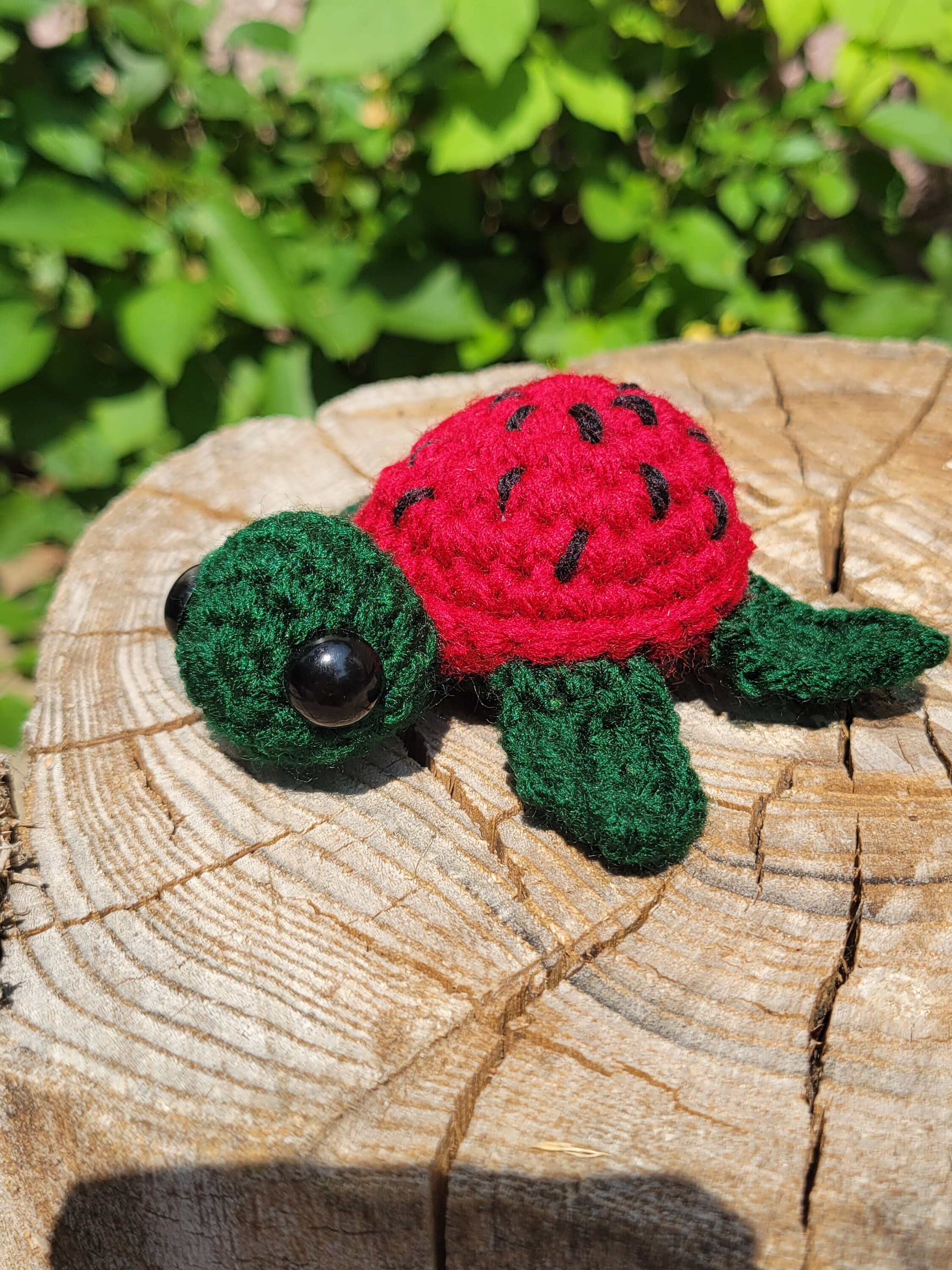 Watermelon Turtle Crochet Pattern - Etsy