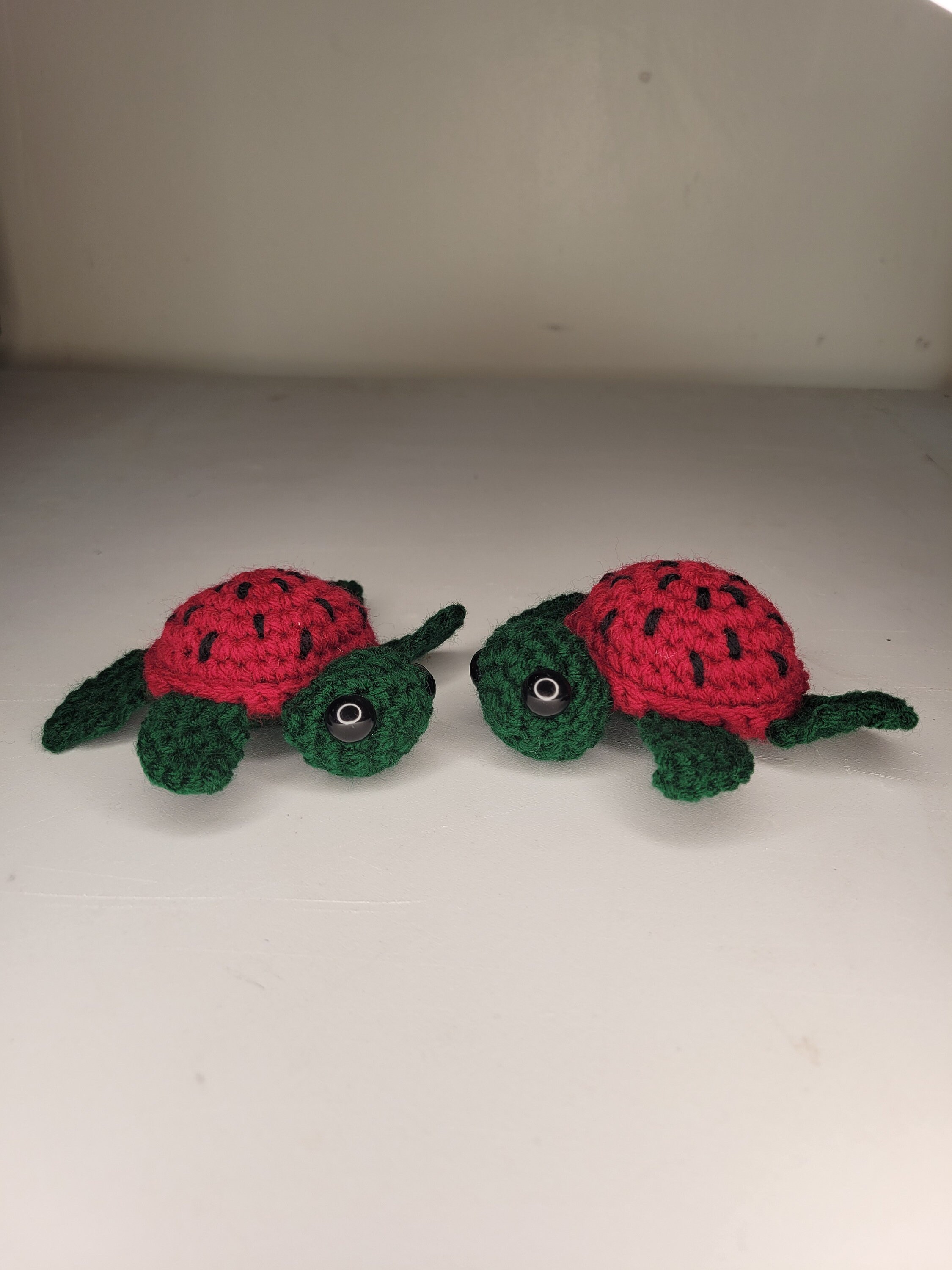 Watermelon Turtle Crochet Pattern - Etsy