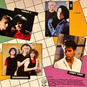 80’s Various Artists - “living in Oblivion: the 80’s Greatest Hits ...