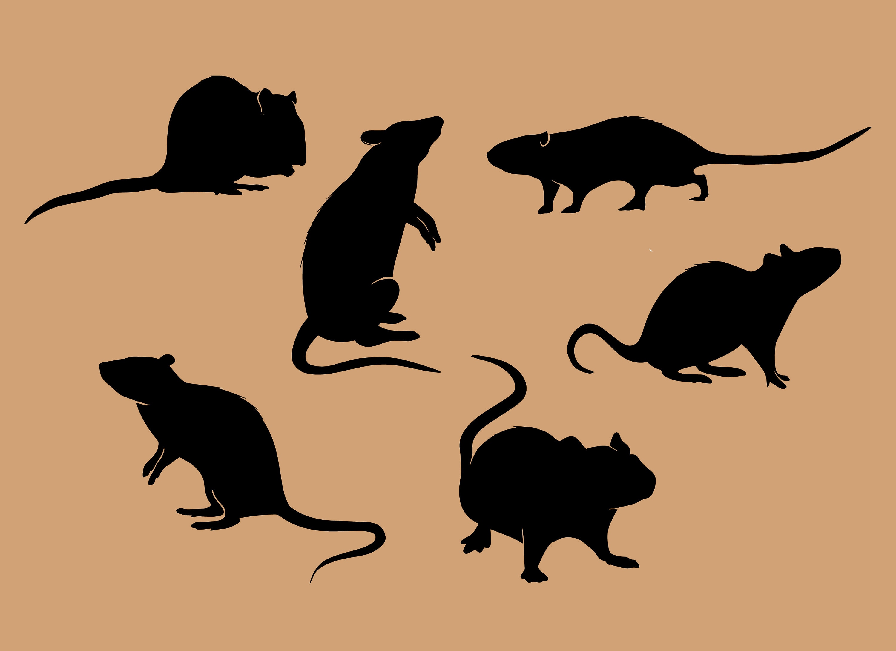 Halloween Rats Silhouette SVG Decoration DIY Cricut Print - Etsy