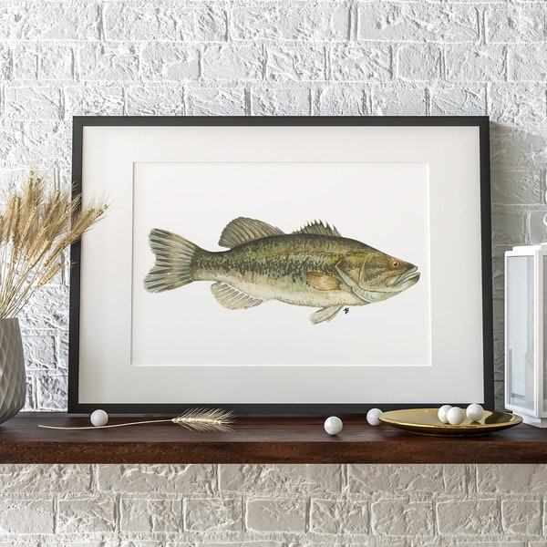 Watercolor Paintings of Bass Fish - Etsy