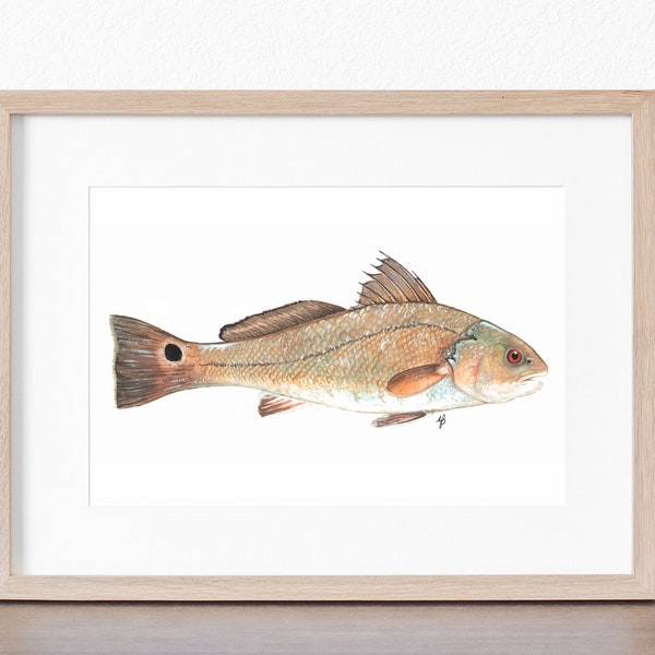 Drum Wall Art - Etsy