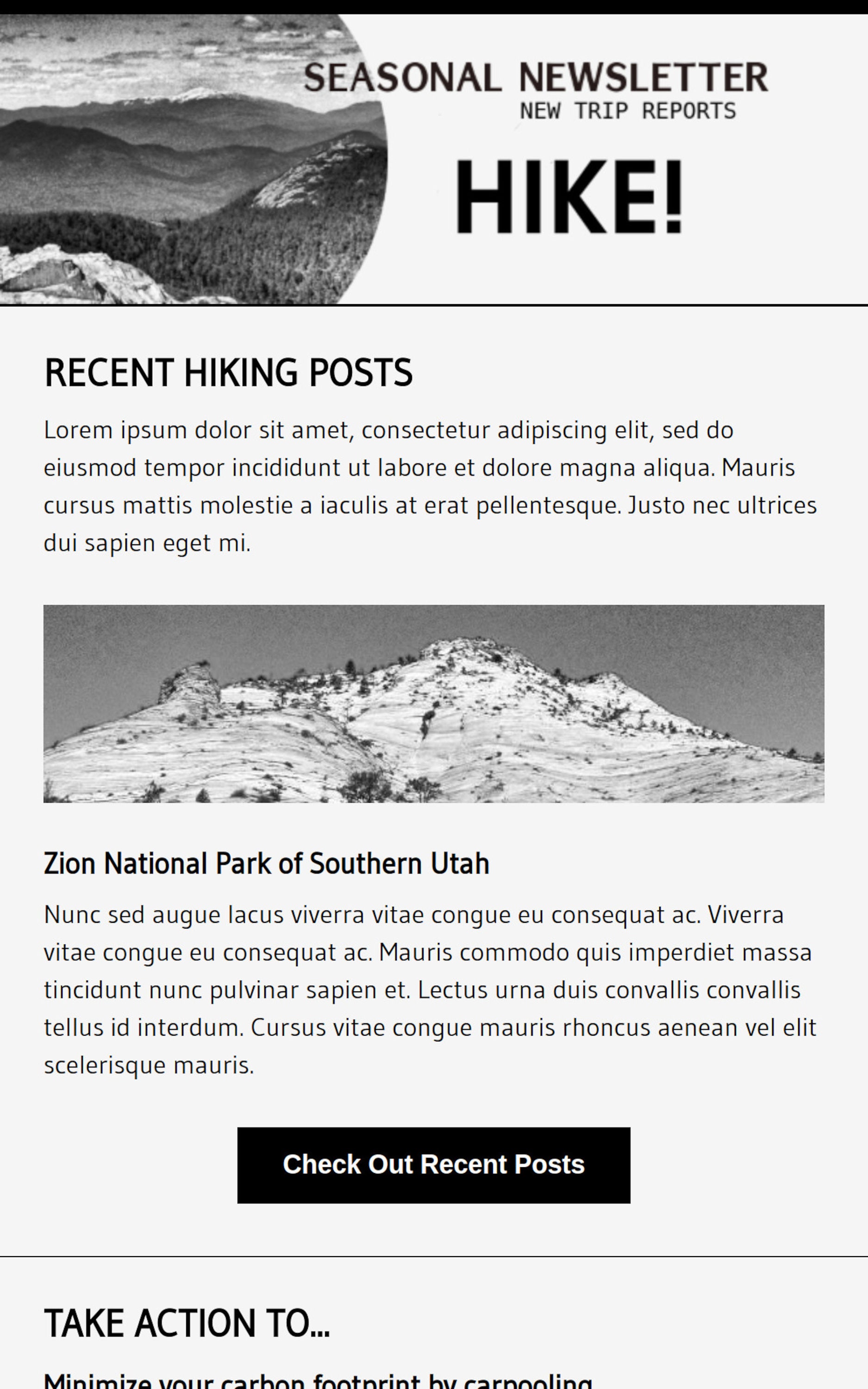 Responsive HTML Email Newsletter Template - Etsy