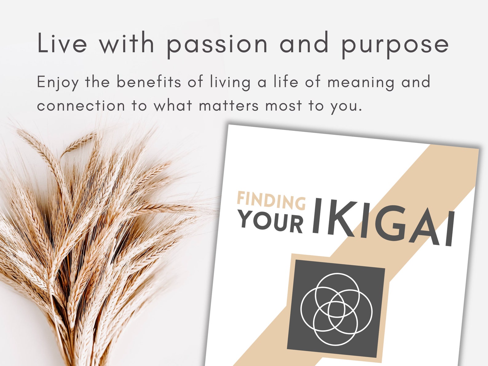 Find Your Ikigai Printable Worksheet, Ikigai Planner, Ikigai Worksheet ...