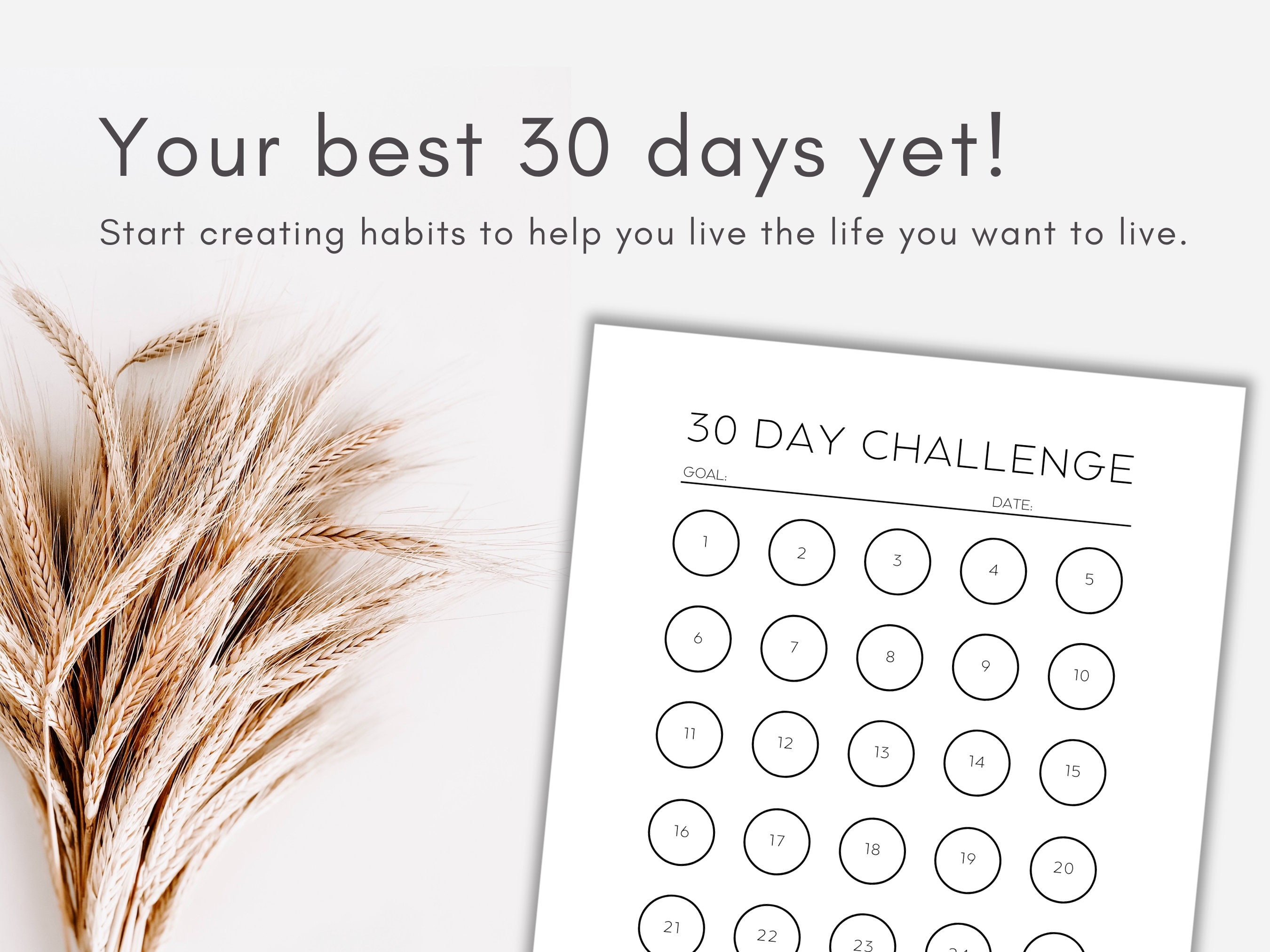 30 Day Challenge Goal Setting Progress Tracker 30 Day - Etsy