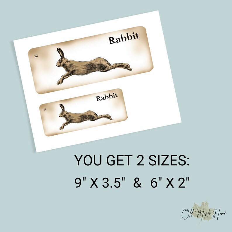 Vintage Rabbit Flash Card / Flashcard Rabbit Printable / Vintage Easter ...