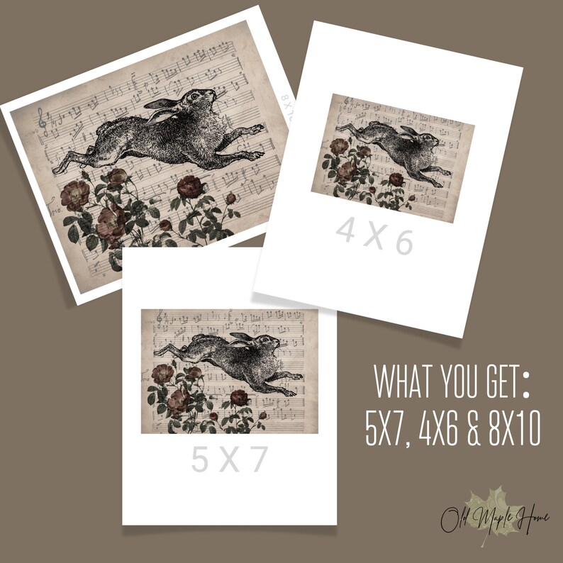 Vintage Rabbit Print Art - Vintage Hare Art - Vintage Easter Wall Art ...