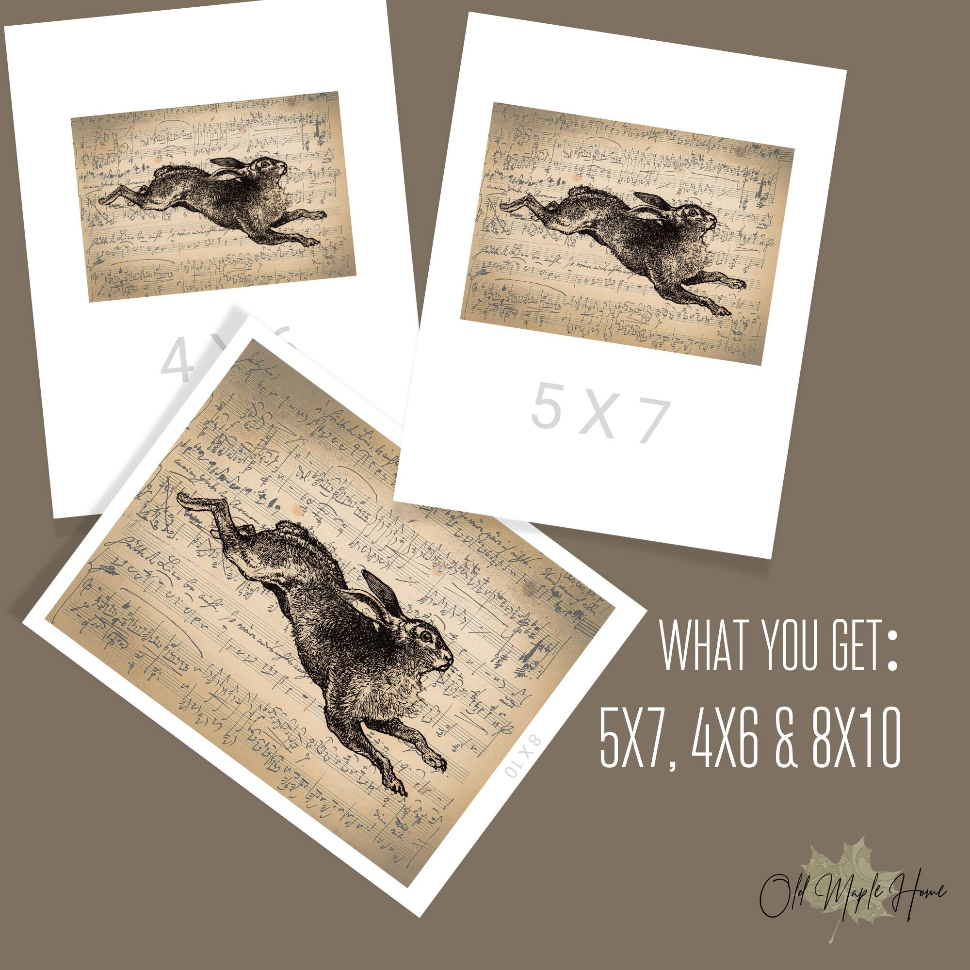 Vintage Rabbit Art Print - Vintage Hare Art - Vintage Easter Wall Art ...