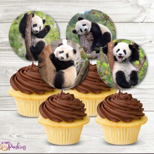 Panda Cupcake Topper, Bamboo, Instant Download, Digital PDF File - Etsy