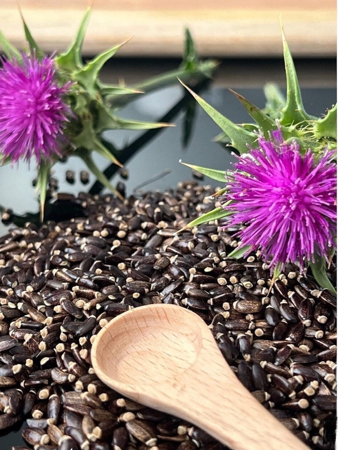Milk Thistle Seeds, Silybum Marianum, Organic Seeds, Milk Thistle Premium Seeds - Etsy