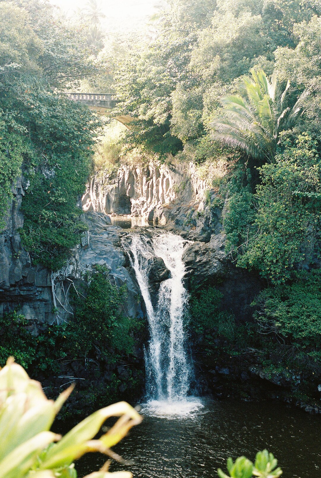 Maui Waterfall Photo Print | Hawaii Tropical Photo Print | 8x10 Fine ...