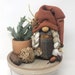Earthy Plaid Female Gnome | Fall Gnome, Garden Gnomes, Forest Gnome ...