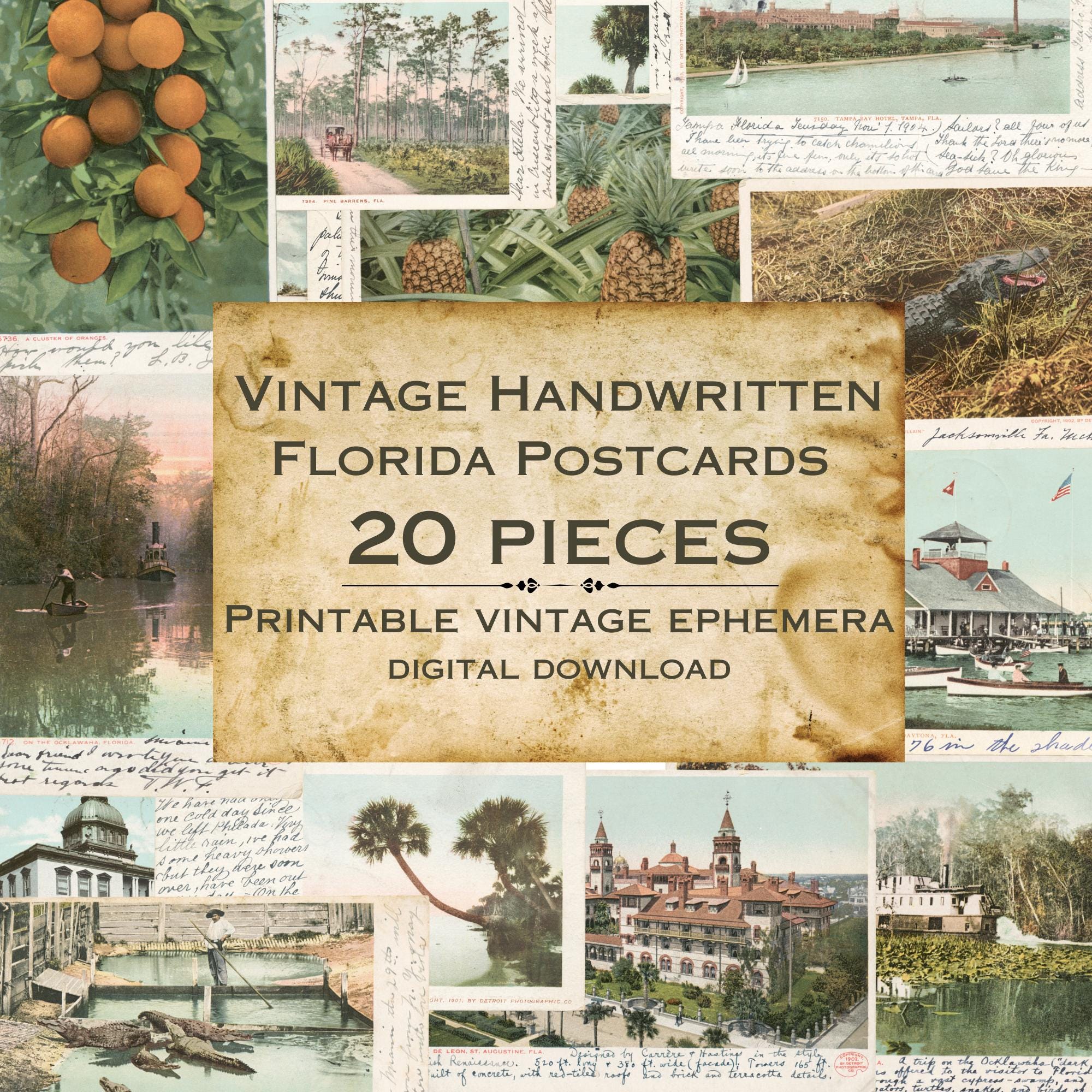 Vintage Handwritten Florida Postcards | 20 Printable Vintage Ephemera ...