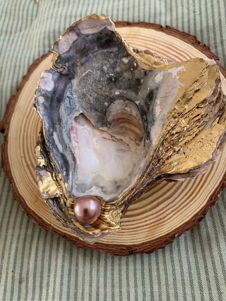 Hand Painted Dosinia, Oyster and Scallop Shell Trinket Dishes, in Gold ...