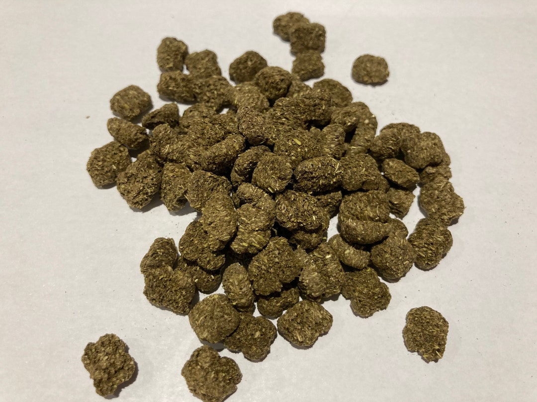 Guinea Pig Nuggets - Etsy