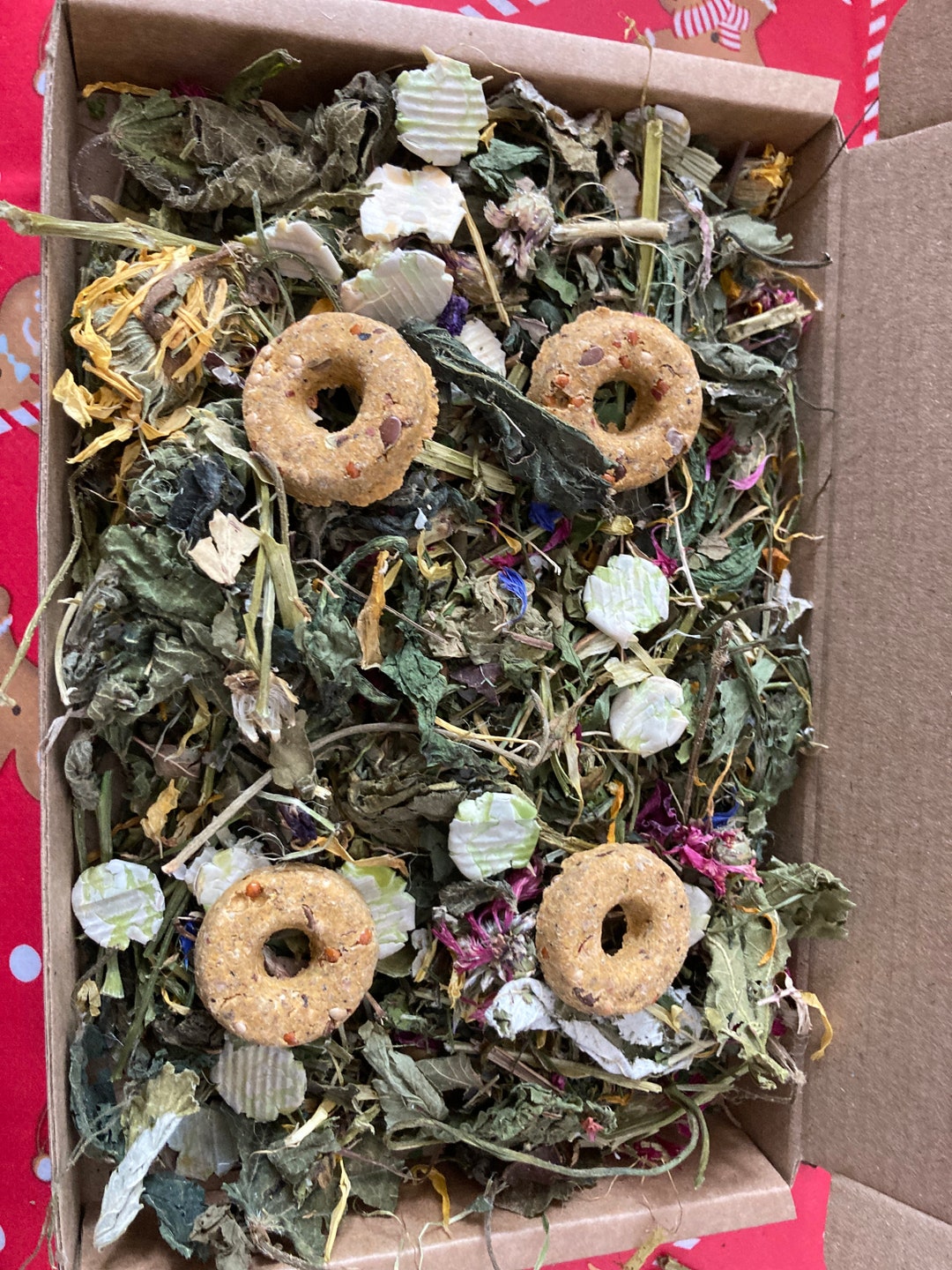 Hamster/ Rat/ Gerbil Forage Box - Etsy
