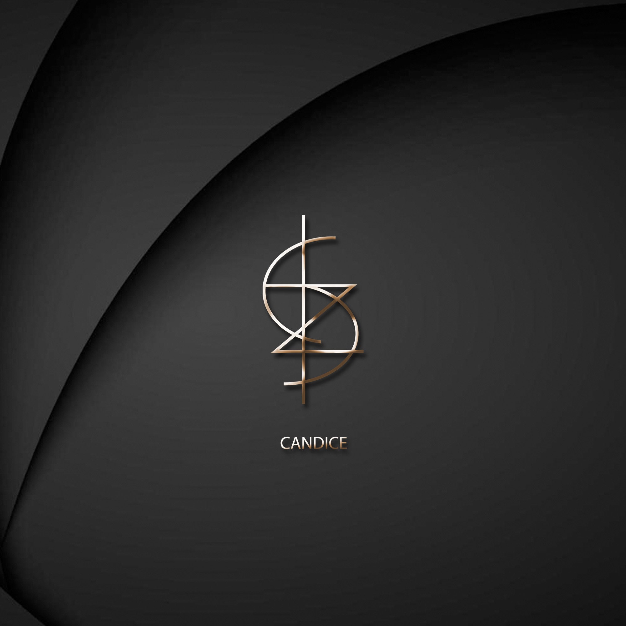 Custom Logo / 3D Logo / Digital Logo / Social Media Emblem / Name Logo ...