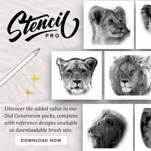 Lion Brushes Procreate Brush Set Lion Tattoo Stamp Brushes Procreate ...