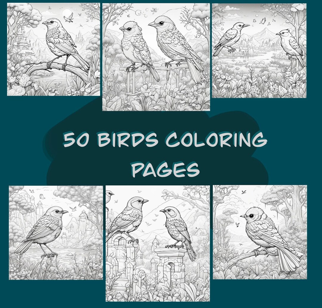 50 Birds Stress Relieving Adult and Kids Coloring Pages - Etsy