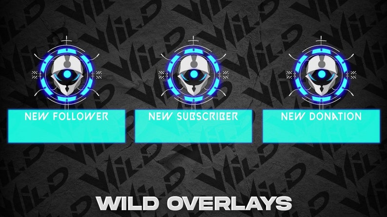 Valorant Ion Animated Alert Overlay for Streamelements - Etsy