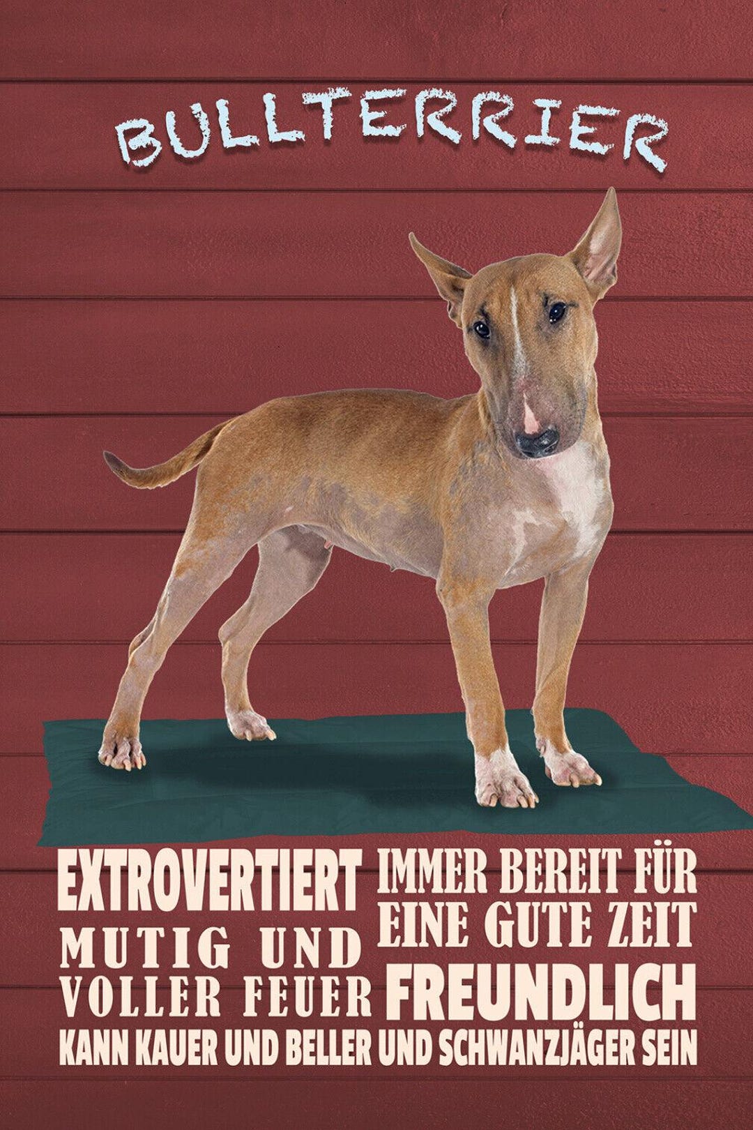 Sign Saying Bullterrier Brave Friendly Extroverted Dog Jw - Etsy