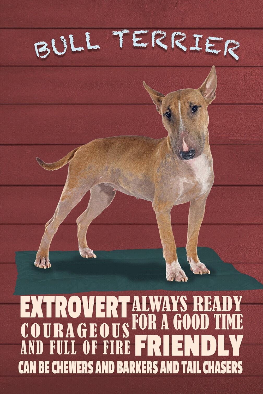 Sign Saying Bull Terrier Wanted Poster Friendly Dog Jw - Etsy