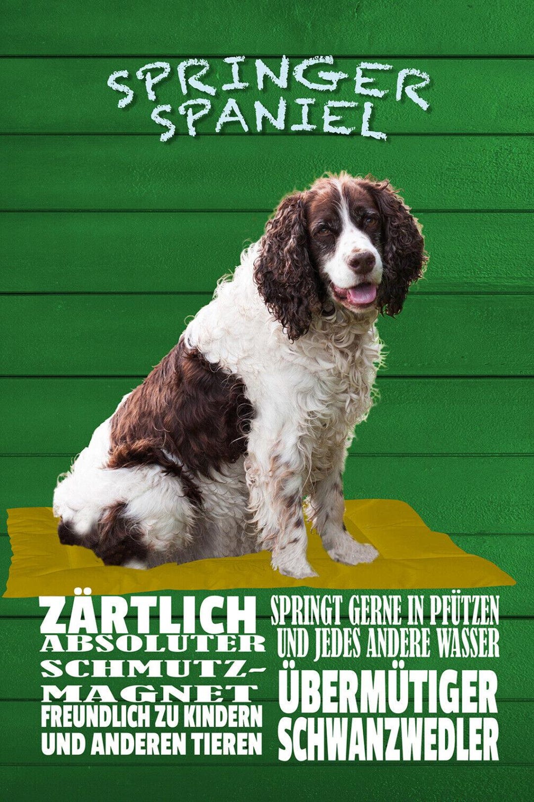 Sign Saying Springer Spaniel Wanted Poster Tender Friendly to Children ...