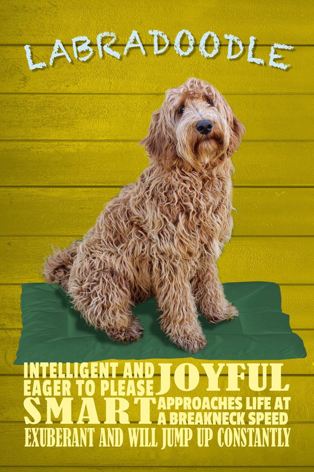 Sign Saying Labradoodle Wanted Poster Smart Clever Dog Jw - Etsy