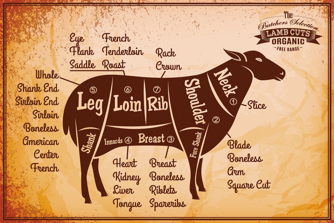 Nostalgia Sign Lamb Cuts Lamb Diagram 12x18 / 20x30 / 30x40 Sheet Metal ...